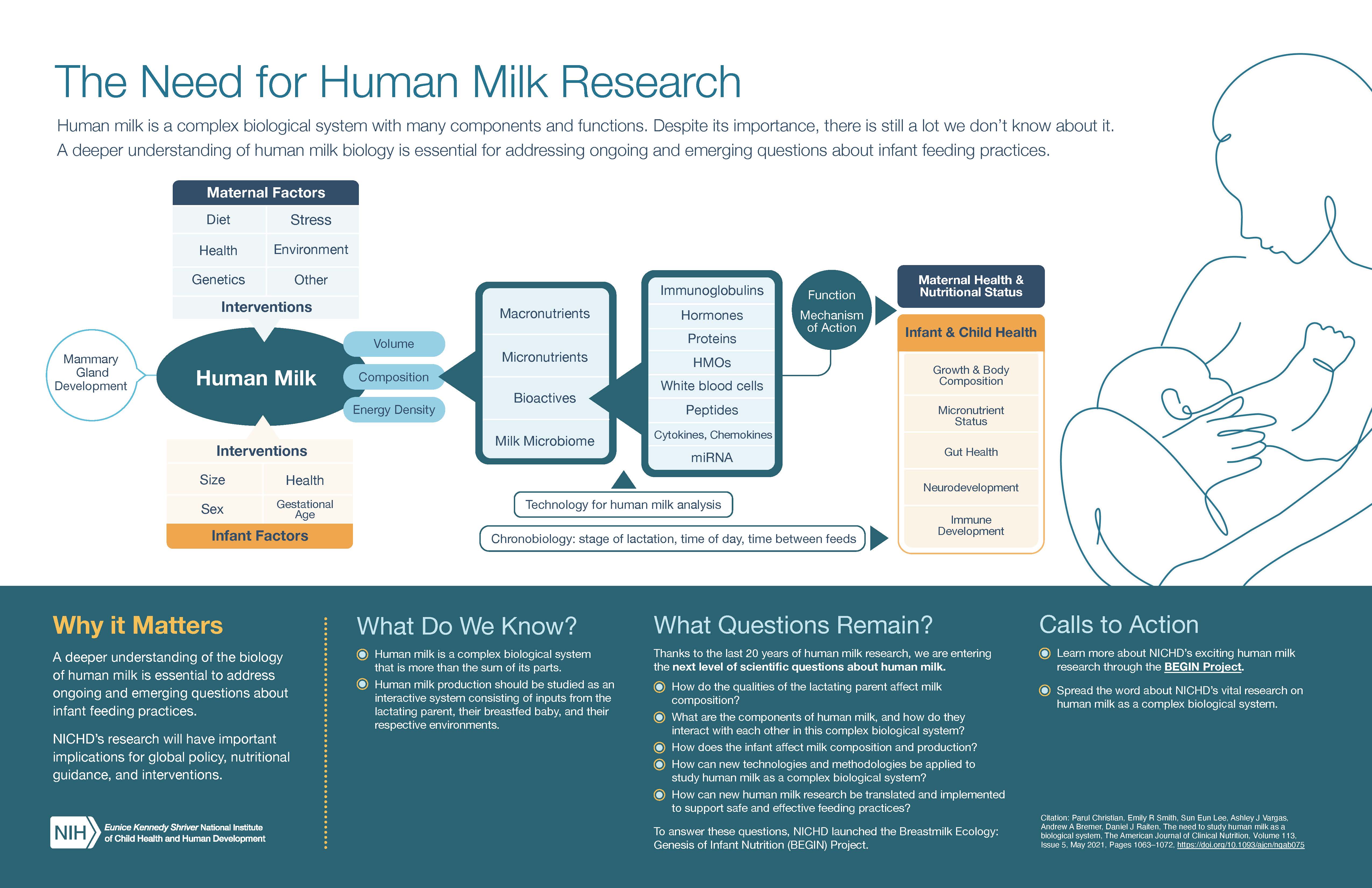 Infographic The Biology Of Human Milk Nichd Eunice Kennedy Shriver